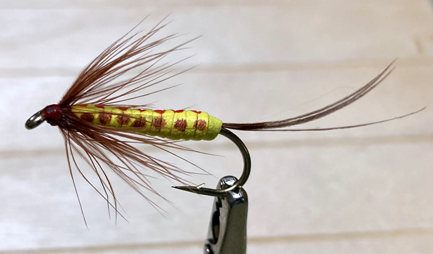 APP Learning Fly Tying with Bill Sherer (Fly Tying App - Beta Version ...
